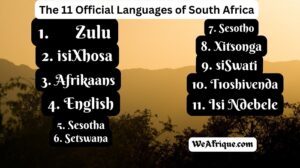 What Are The Official Languages Of South Africa? Number Of Speakers